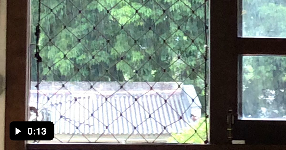 It’s been raining almost non stop for weeks now, when a bit of sun ...