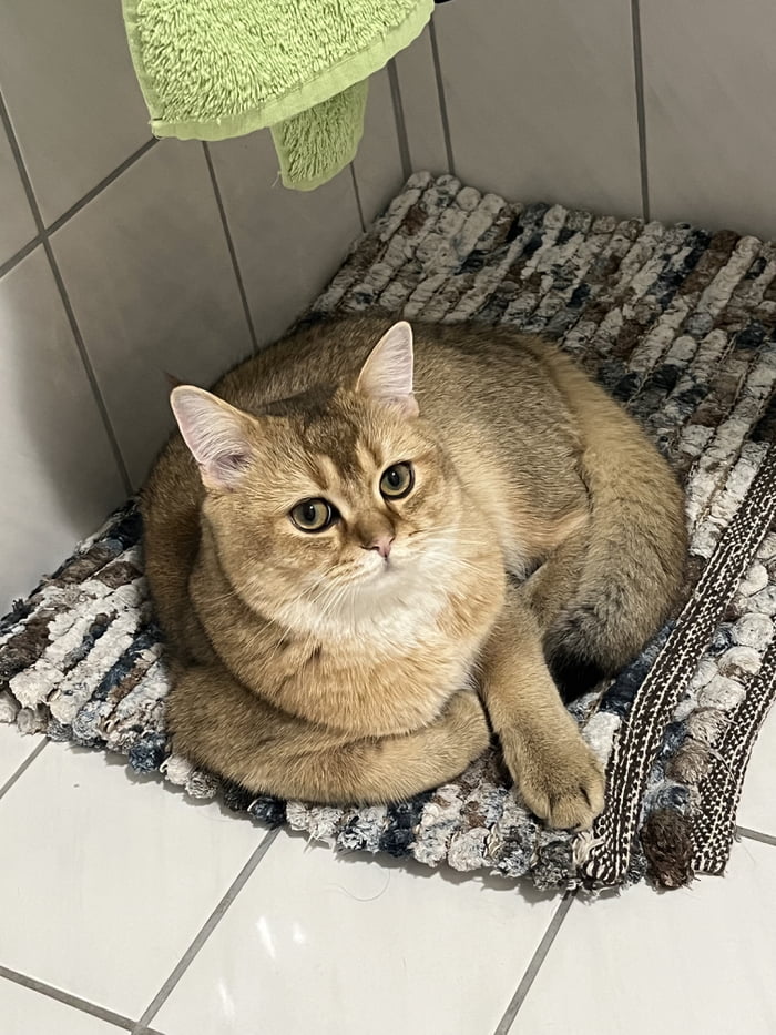 Rate my KitKat - 9GAG