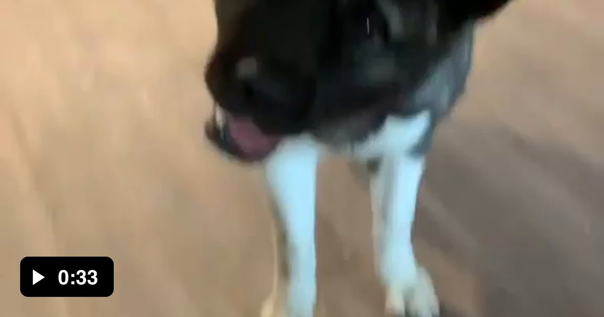 Morning tippy taps - 9GAG