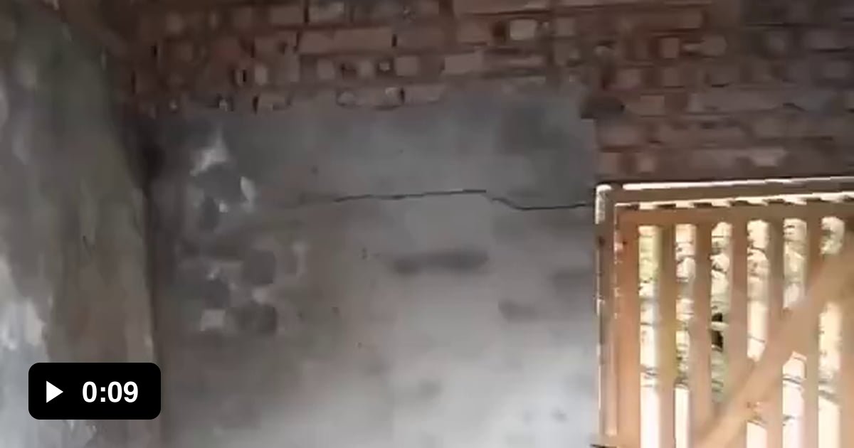 What gravity? - 9GAG