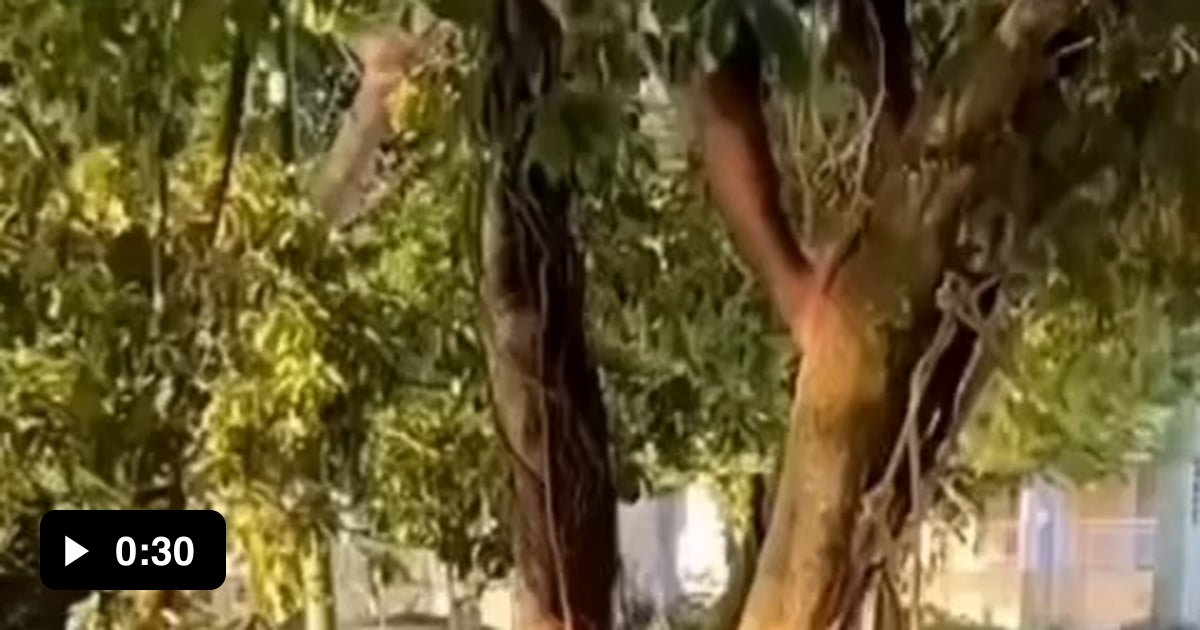 Thats Insane 9gag