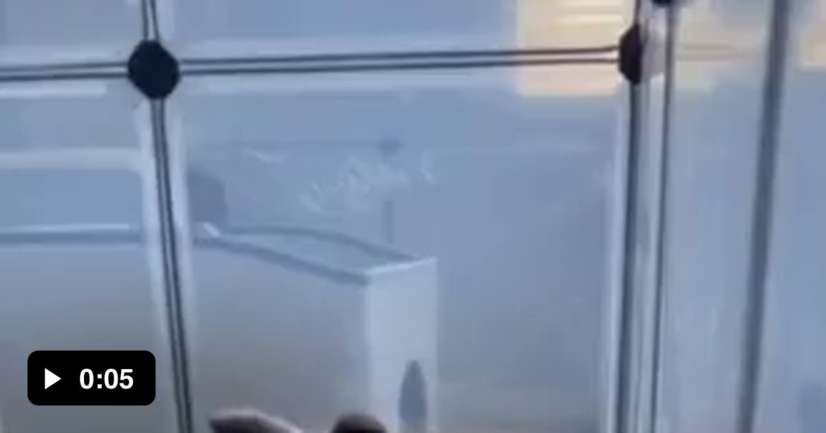 Everything changed once he became a teen - 9GAG