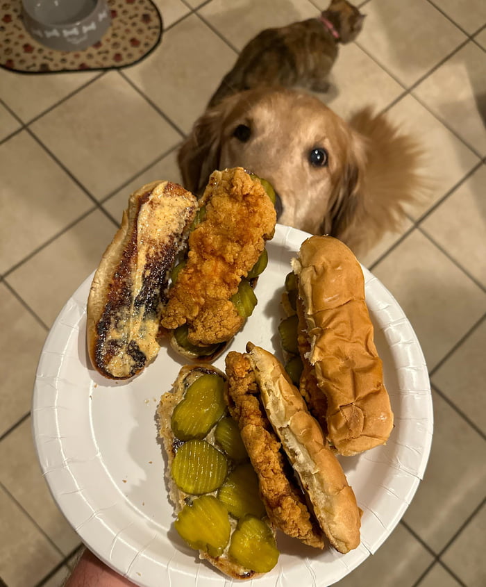 Fried Chicken Tender sandwiches on buttered & toasted Hot Dog Buns with ...