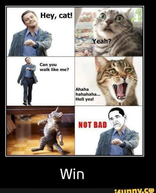 Can someone fact check this post? I am pretty sure cats aren't able to ...