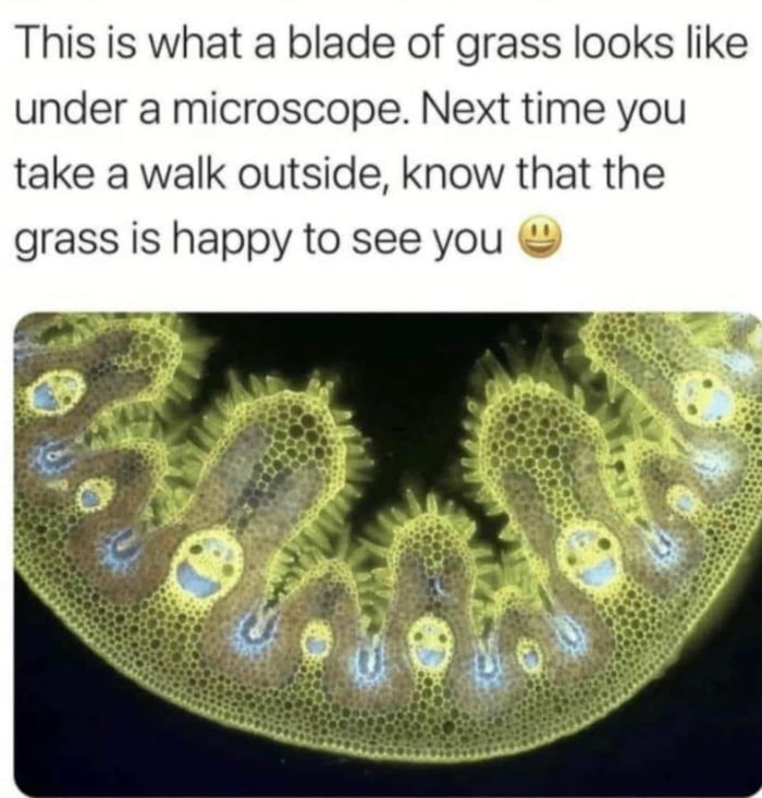 Happy grass - 9GAG