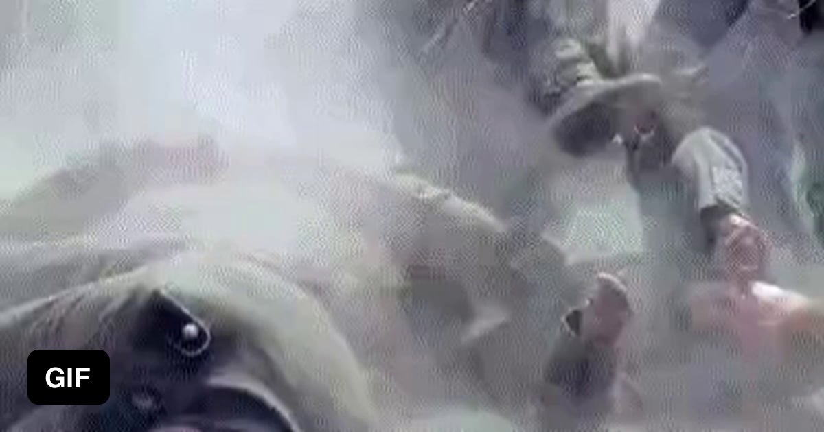 Humbly made this Band of Brothers downvote gif. Use it wisely. - 9GAG