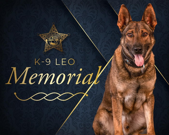 This hero, K9 Leo, lost his life, fighting crime. - 9GAG