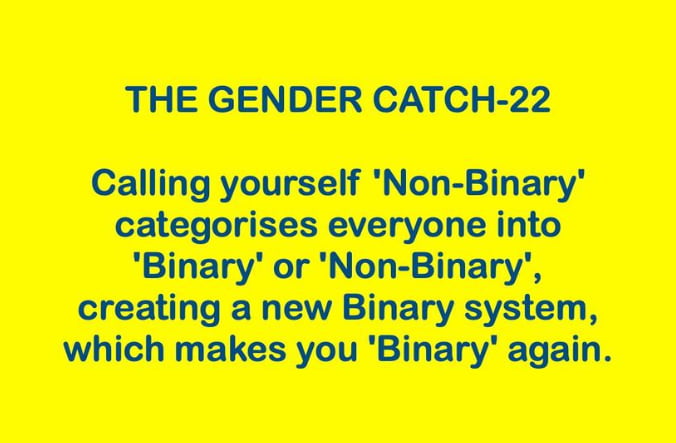 A non-binary point of view is ultimately binary - 9GAG