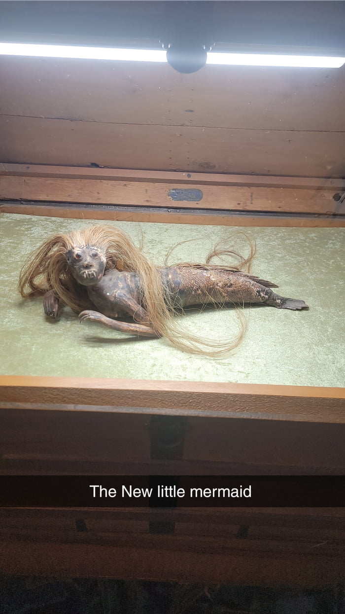 Didn't see the movie heard good things though - 9GAG