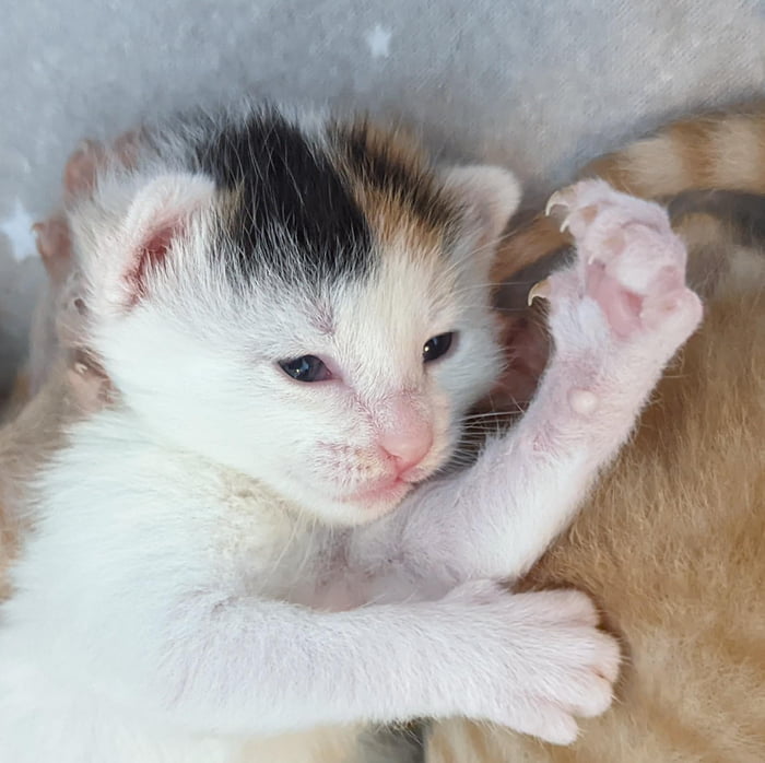 She is plotting something, for sure. - 9GAG