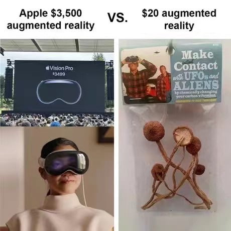 A cheaper AR alternative to Apple Vision Pro - 9GAG