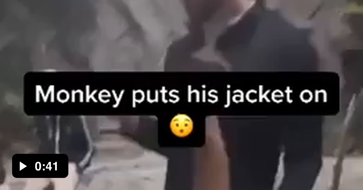 Monkey puts his jacket on - 9GAG