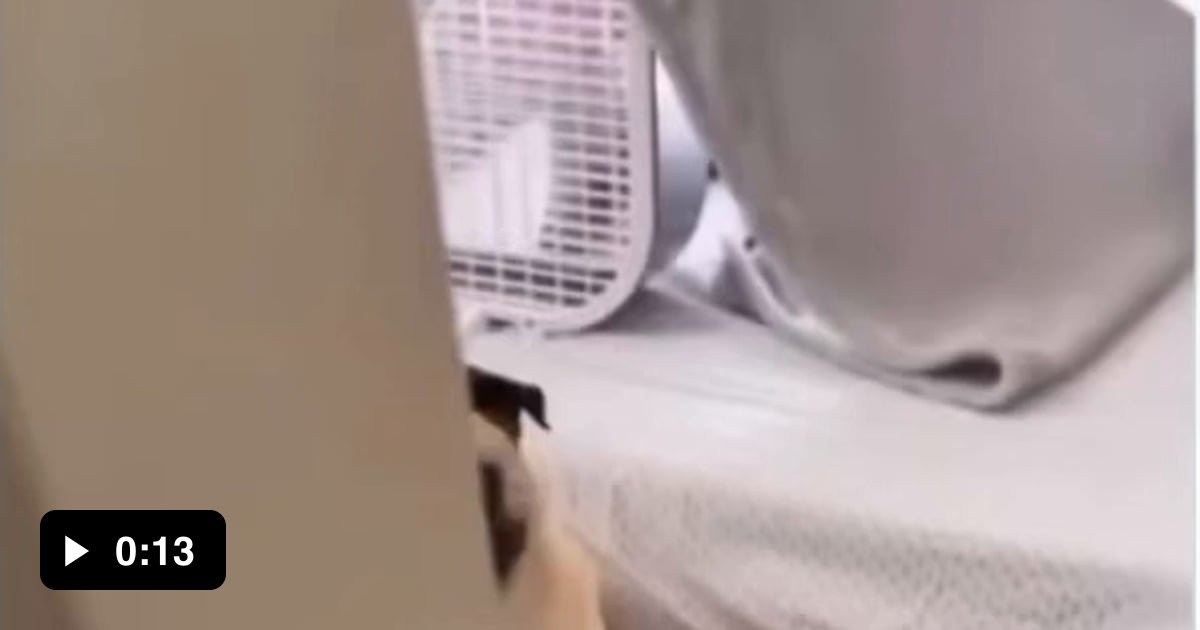 Quite clever cooling method for summer heat - 9GAG