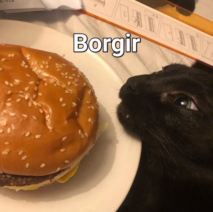 Borgir - 9GAG