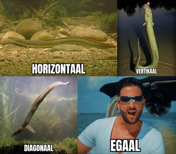 Ich dreh Dorsch - 9GAG