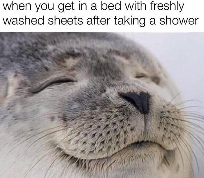 So soft, so fresh - 9GAG