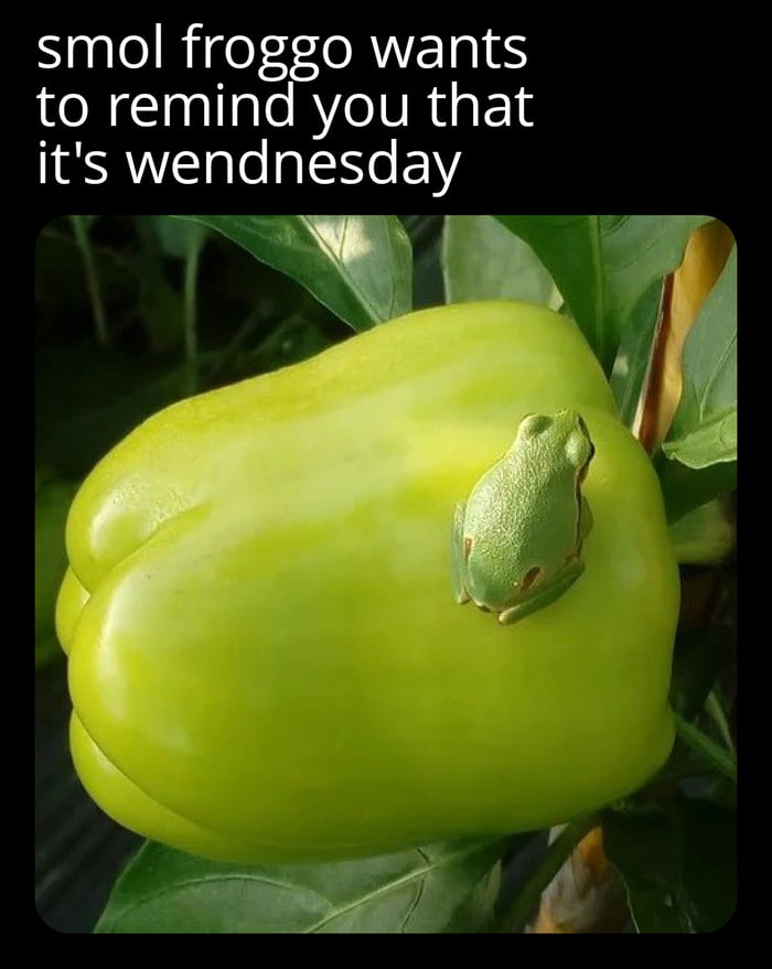 My Dudes 9gag