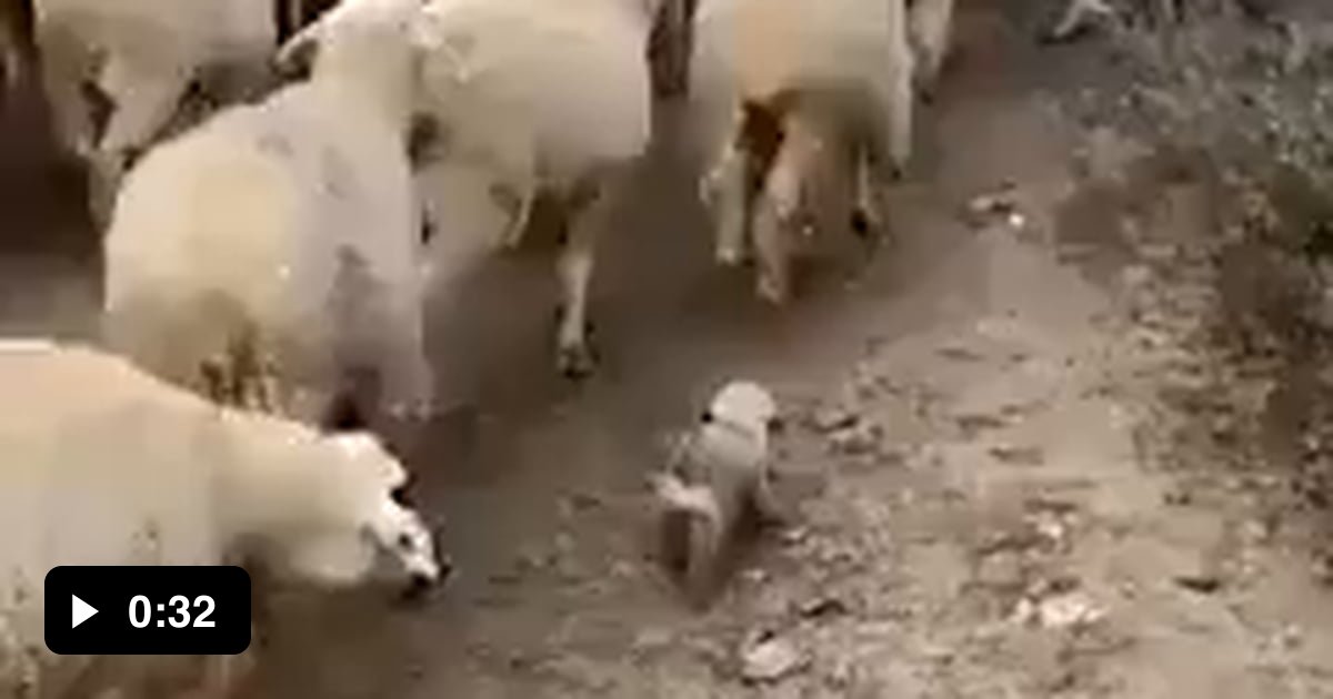 Bro entered wrong community. - 9GAG