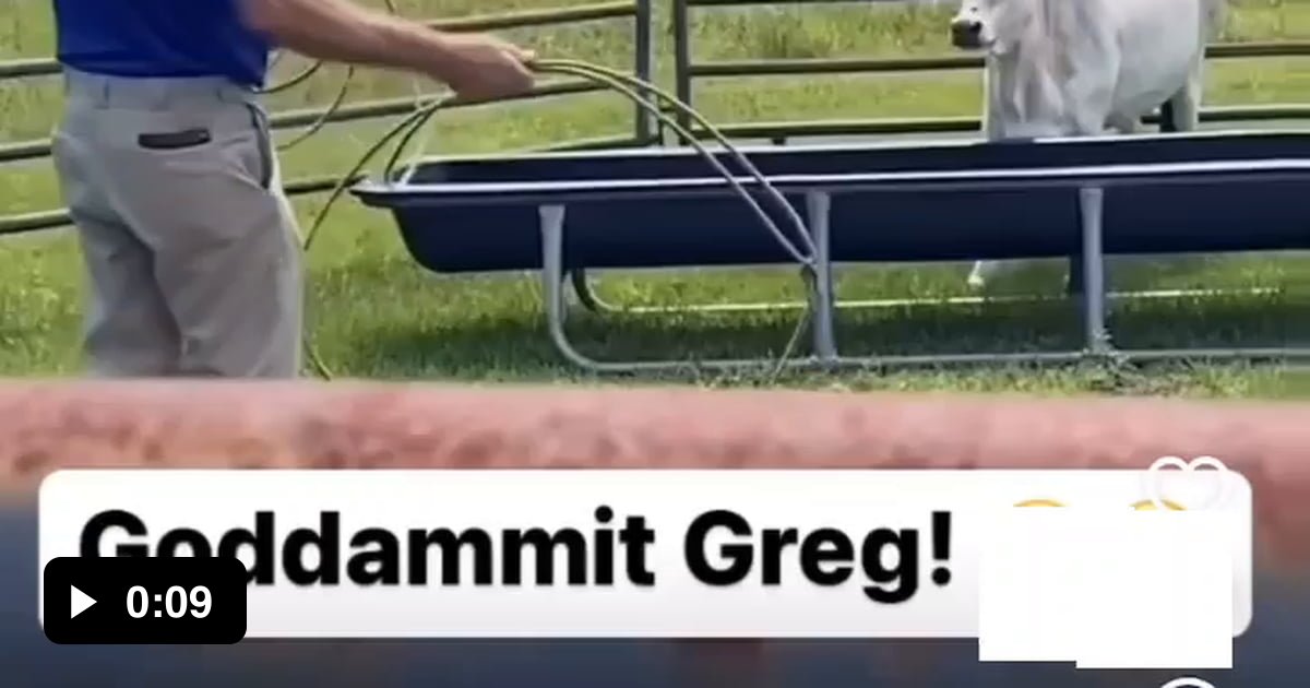 Greg strikes again - 9GAG