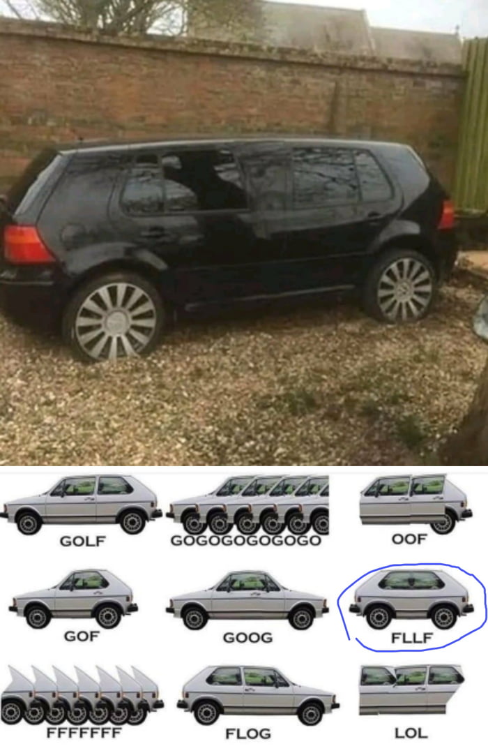 It's a FLLF indeed - 9GAG