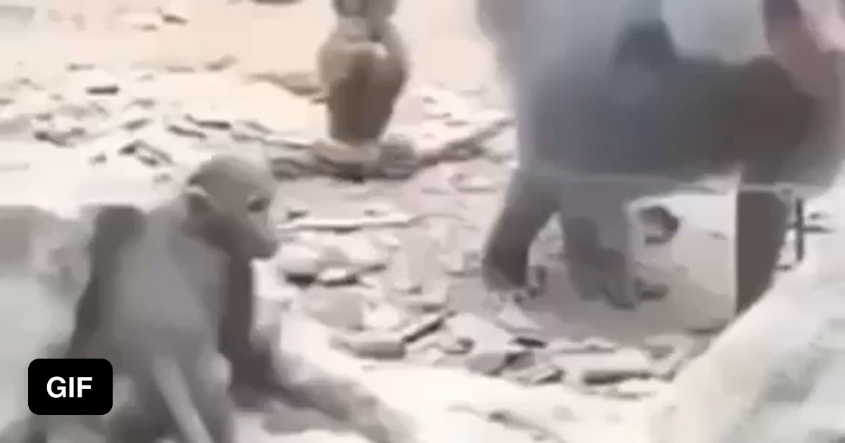 Weird flex but OK - 9GAG