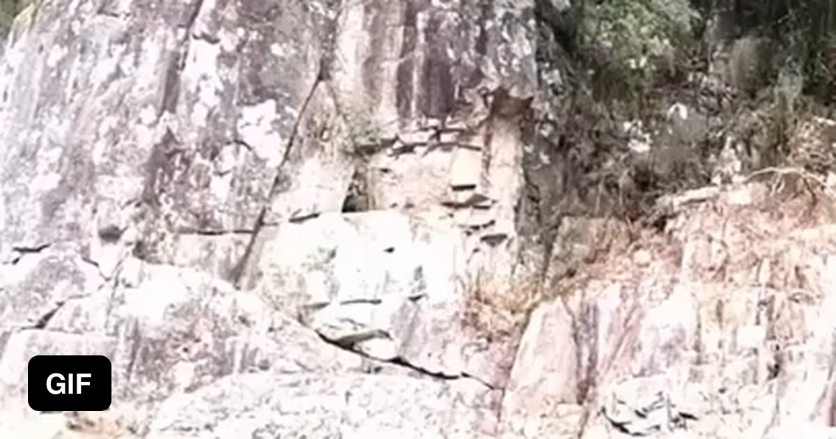 Deep Diving dog - 9GAG