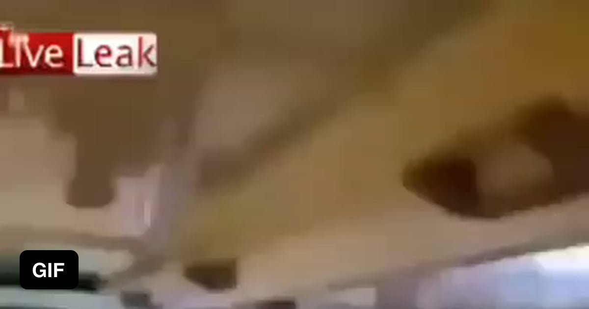 Just wanted to be petted - 9GAG