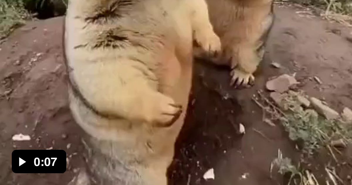 Please do not - 9GAG