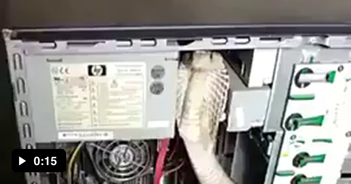 I think I made a mistake. What kind of snake is used in programming ...