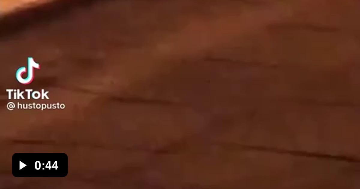 Ratatuj kurwa - 9GAG