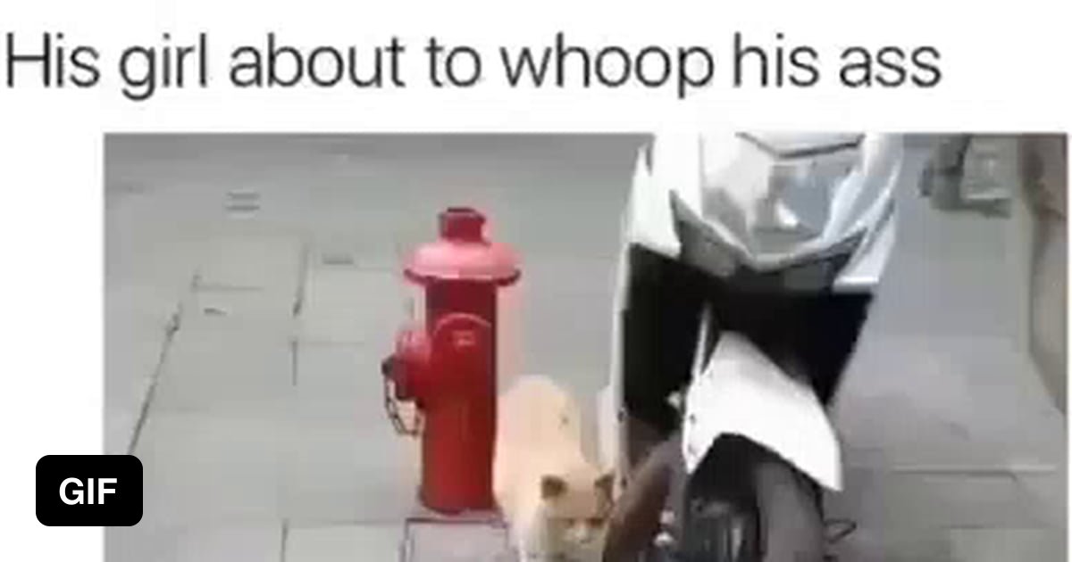 Caught in paw action. - 9GAG