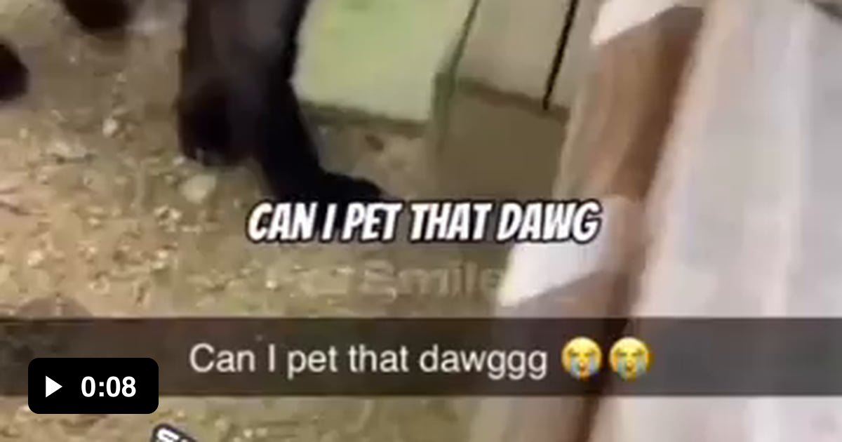 Want to pet the dawg! - 9GAG