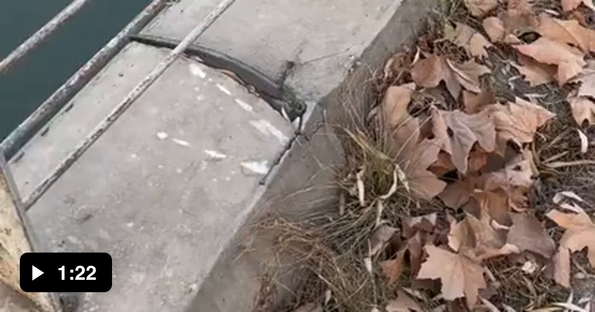 A Martin Fisherman's legs stuck to a railing due to the cold, they ...