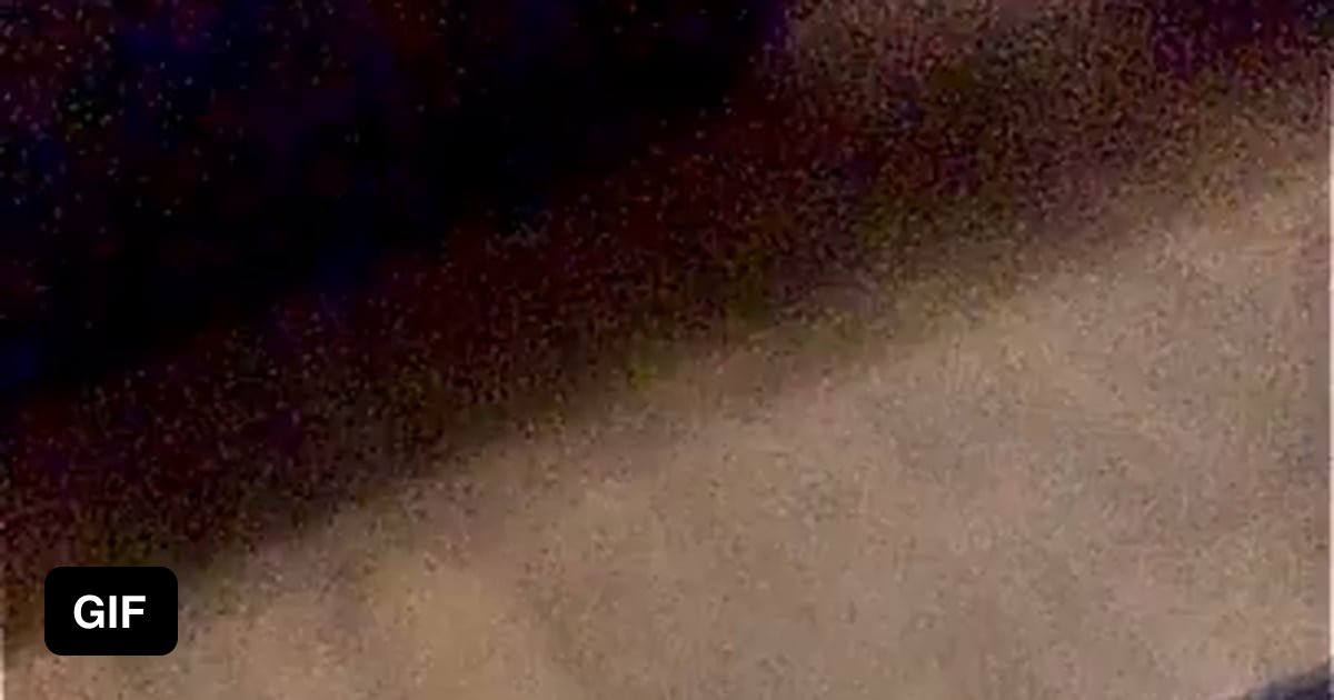 He's got the surprise attack down , next up the sneak(apologies for the blurry) - 9GAG