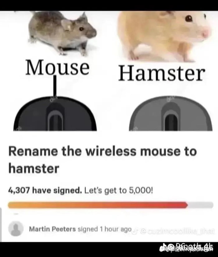 Rename the wireless mouse to hamster - 9GAG