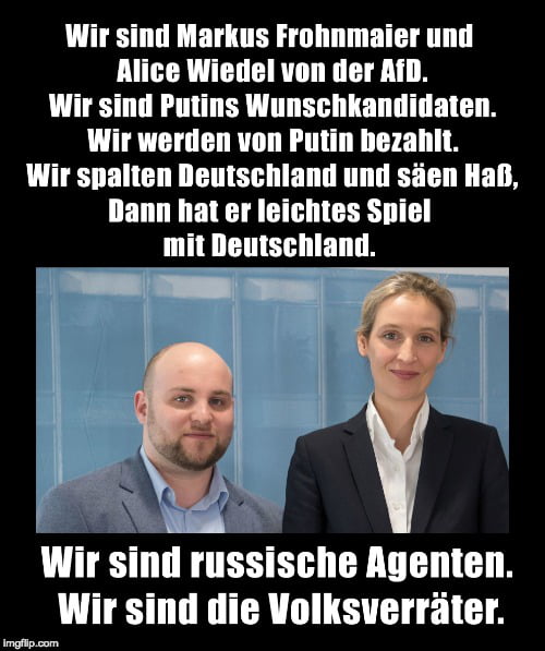 Wählt Die Afd Denn Sie Ist Sehr Gut 9gag