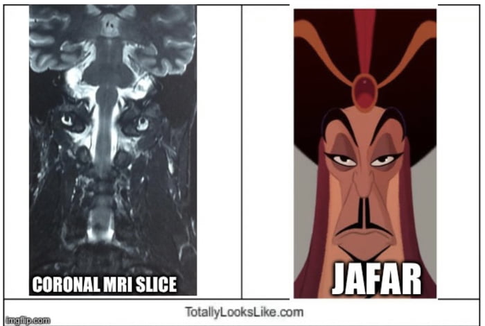 Jafar from afar - 9GAG