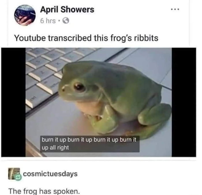All hail Wednesday the frog - 9GAG