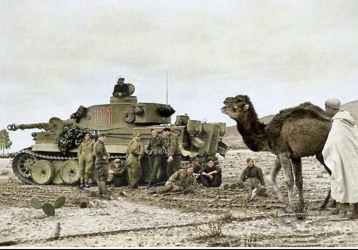 Ottoman camelry and German Tiger division meet in Libya (1943) - 9GAG