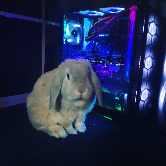 Happy Easter! - 9GAG