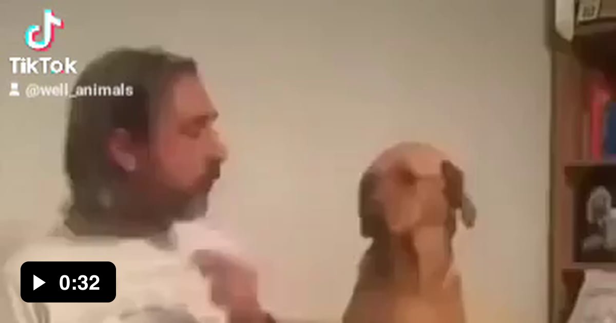 He's not interested AT ALL 😂😂😂 - 9GAG