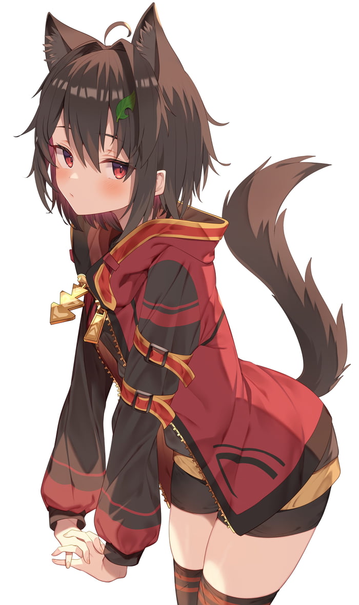 Megumin 9gag 2762