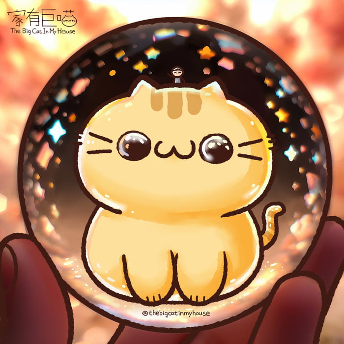 Big cat crystal ball - 9GAG