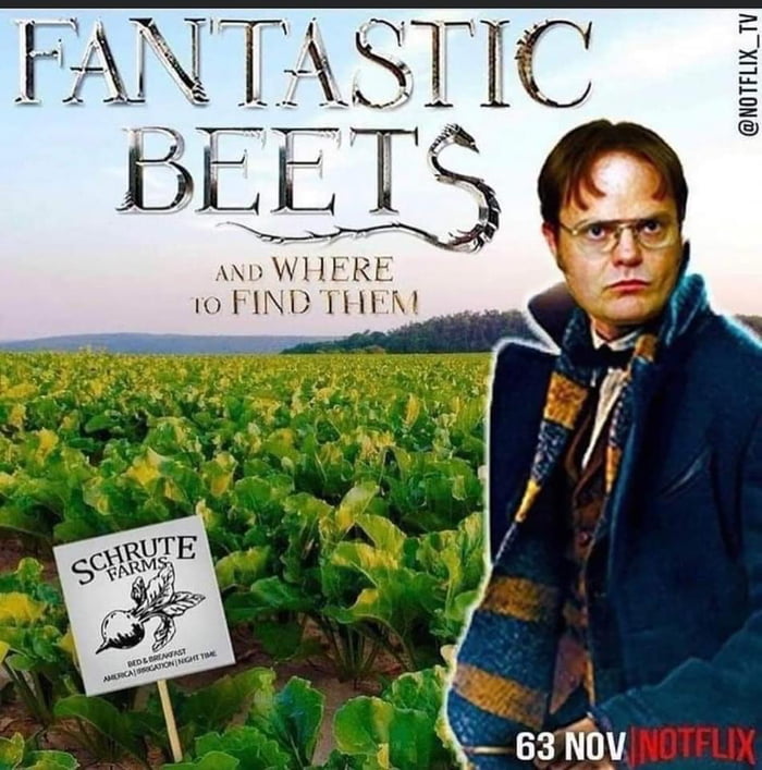 Dunno if this has been posted here - 9GAG