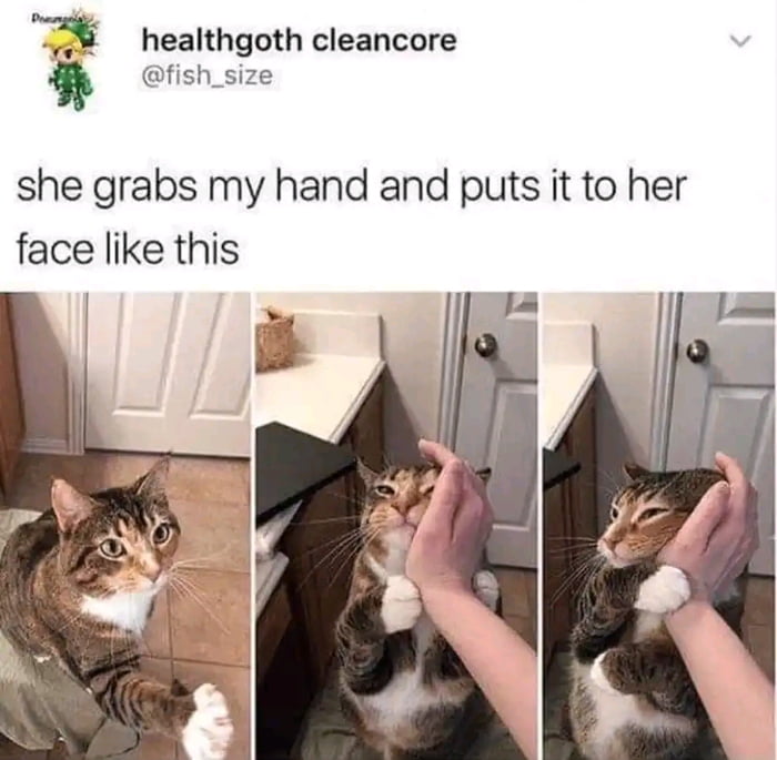 Adorable 9gag