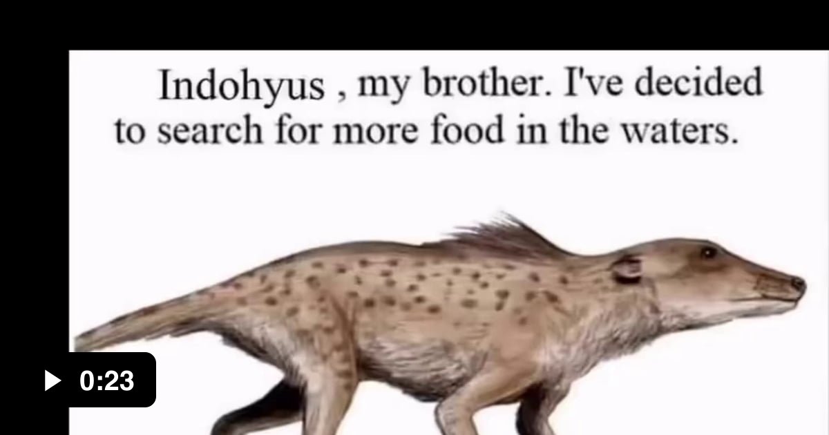 Evolution as it's finest - 9GAG