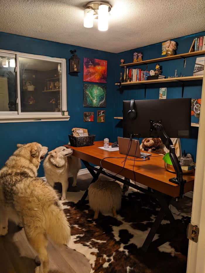 Cosy Office Space Toronto, Canada - 9GAG