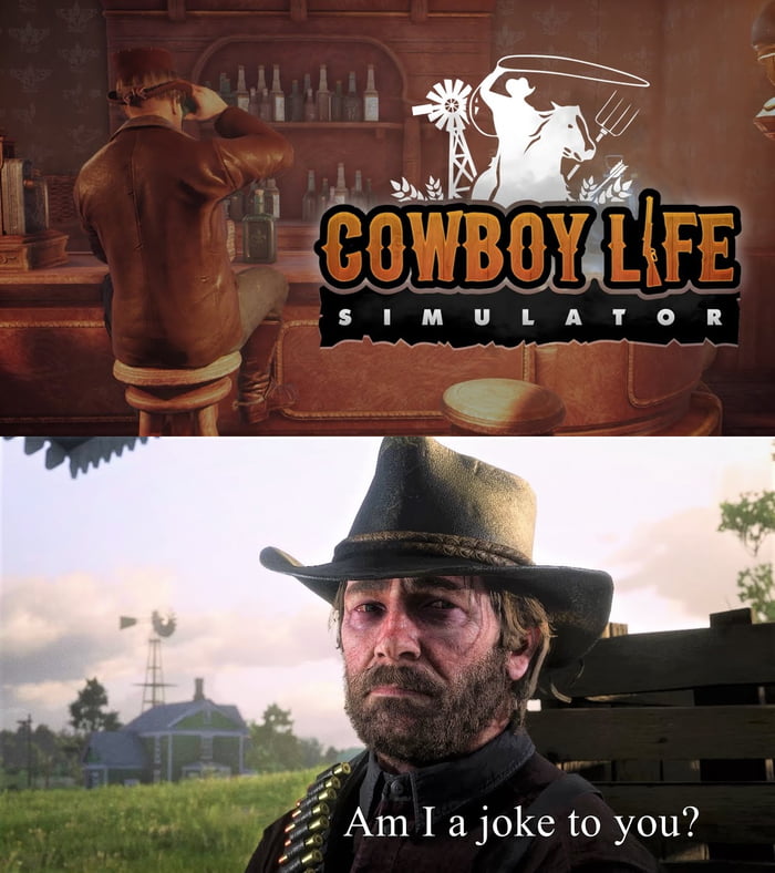 I'm not saying it's a bad game but... I don't need a new cowboy ...