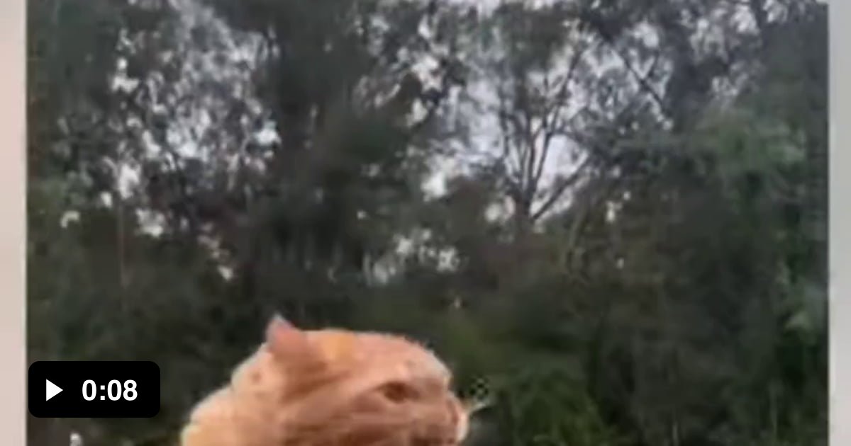 Me Angy *blink* oh. - 9GAG