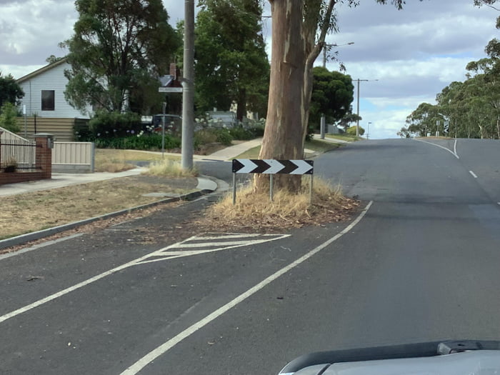 Tree in the road - 9GAG